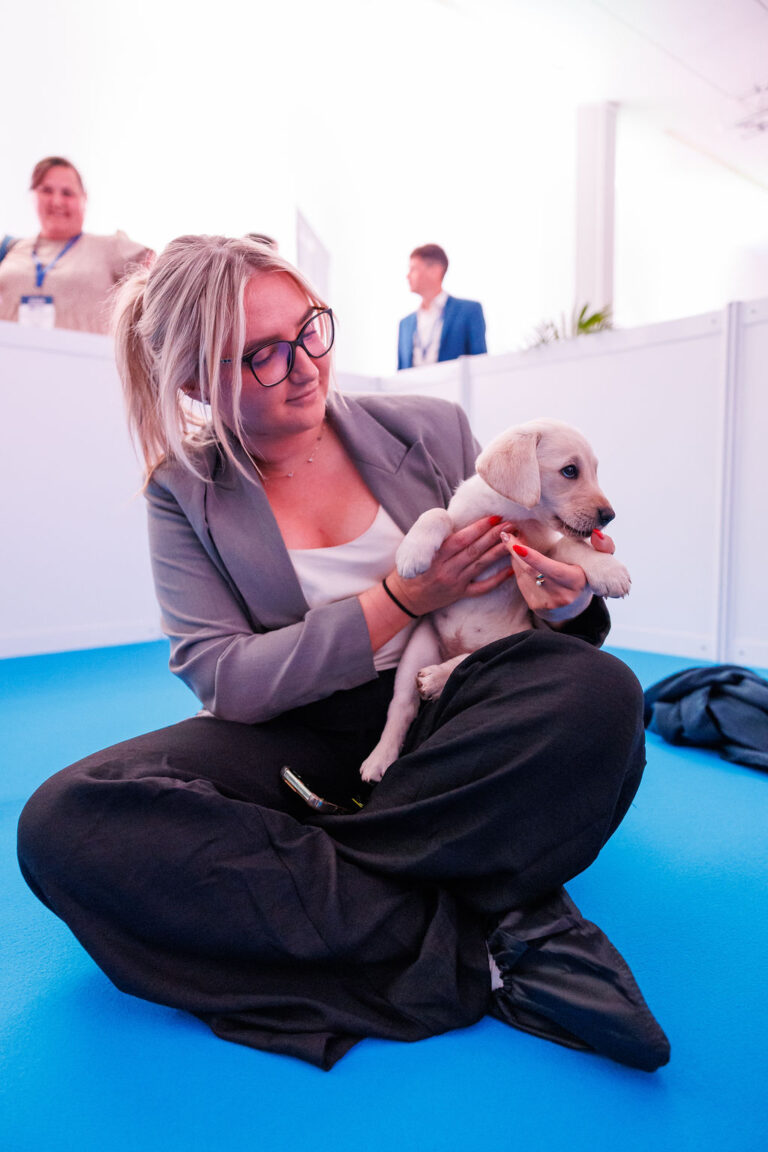 Daily Round Up - BIBA Conference